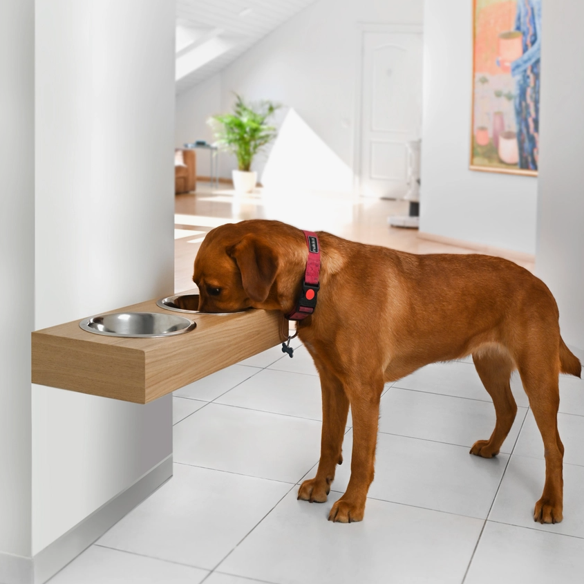 Floating wooden raised food stand for dogs- large – DECOVRY